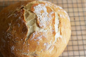 No-Knead Crusty Artisan Bread - The Baker Chick