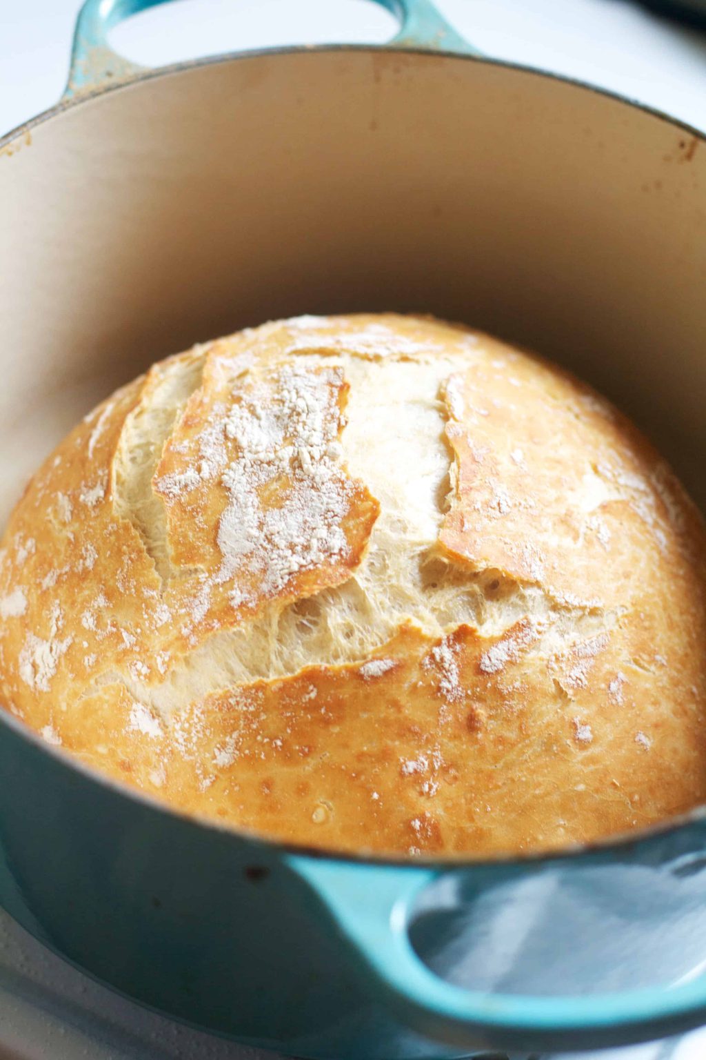 No-Knead Crusty Artisan Bread - The Baker Chick