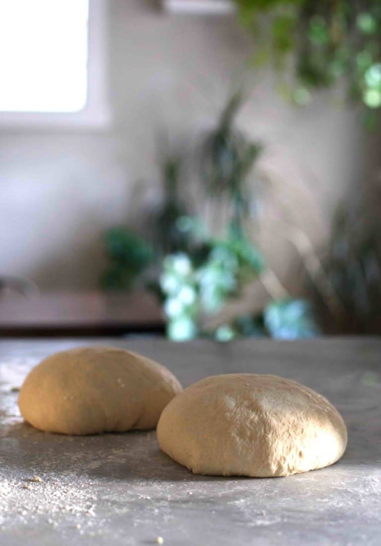 The Sourdough Post - The Baker Chick