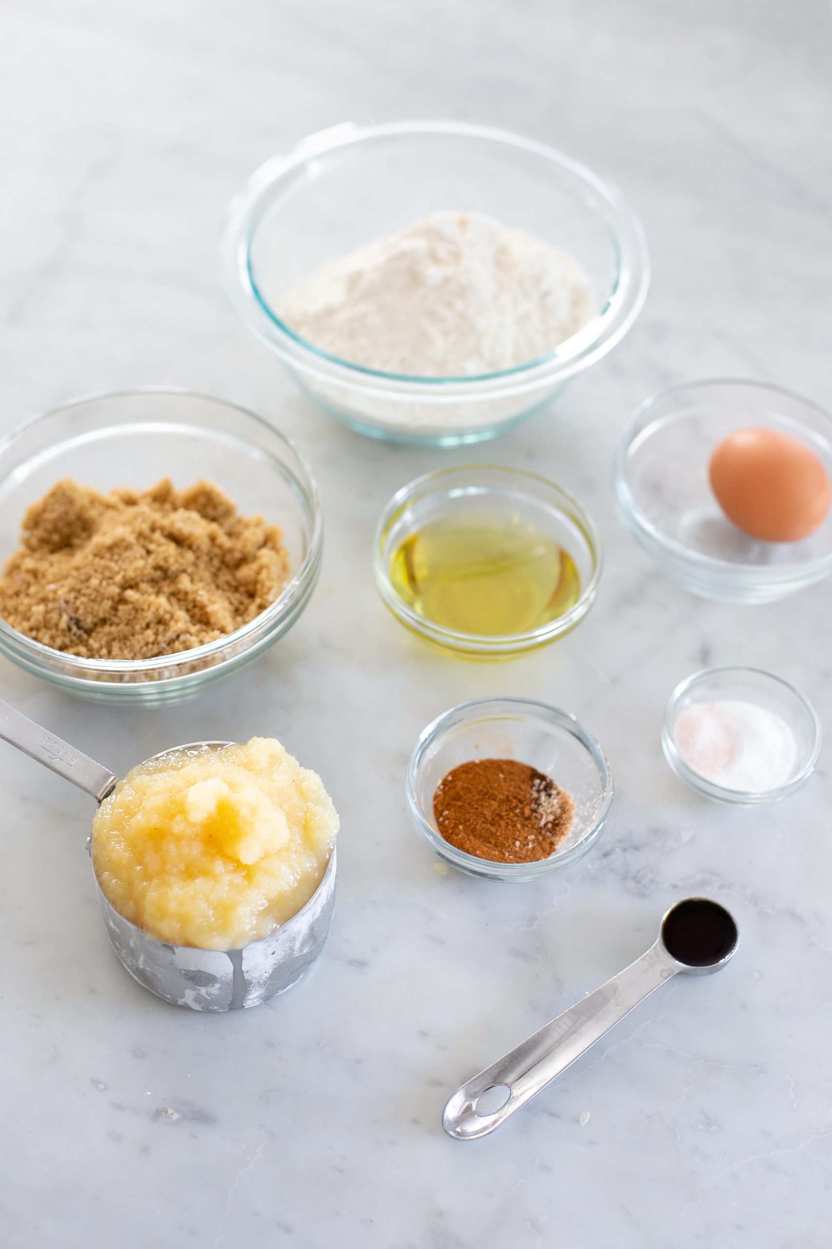 Applesauce Crumb Cake - The Baker Chick